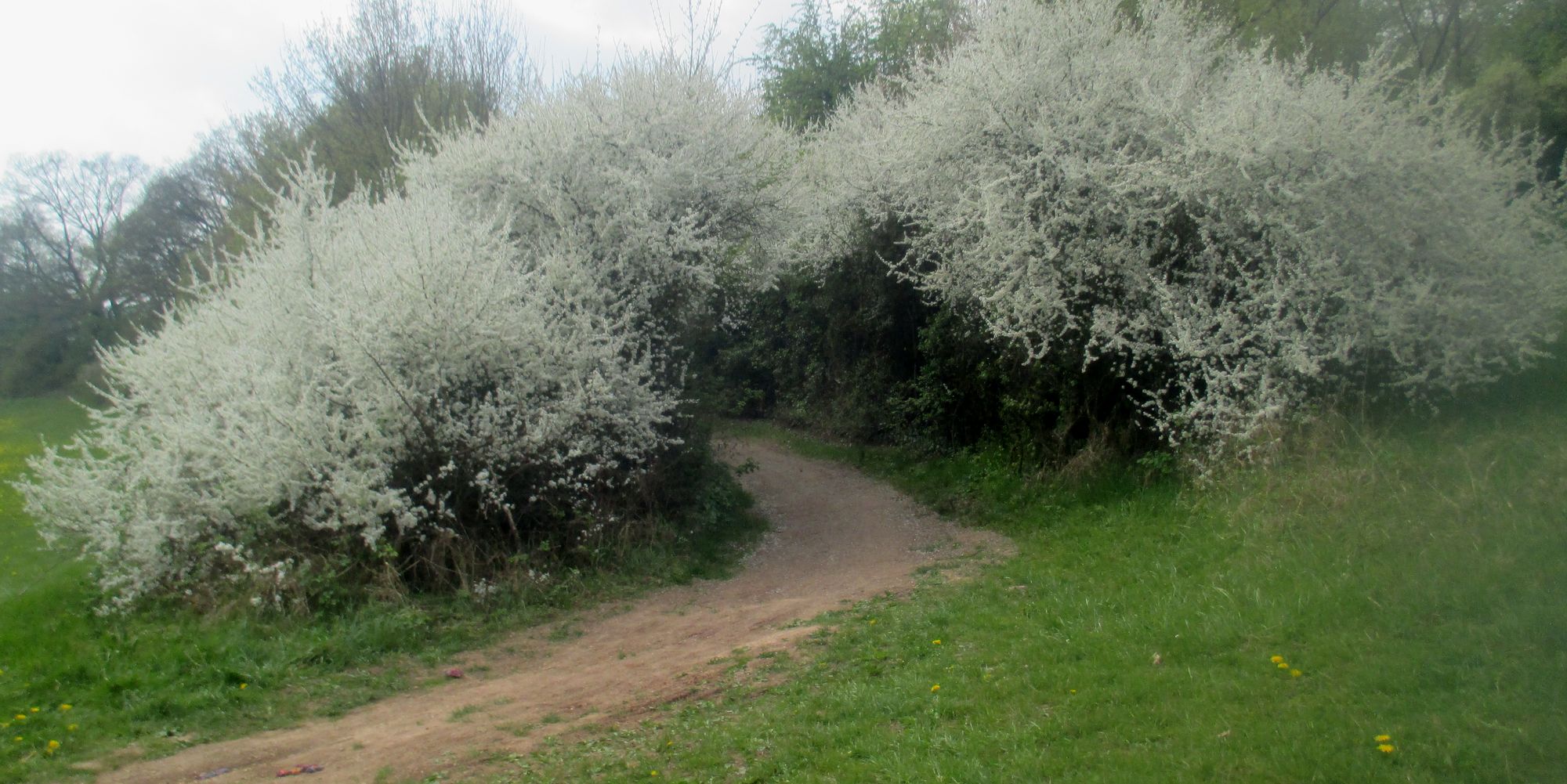 Willkommen bei Inner Nature - Inner Nature