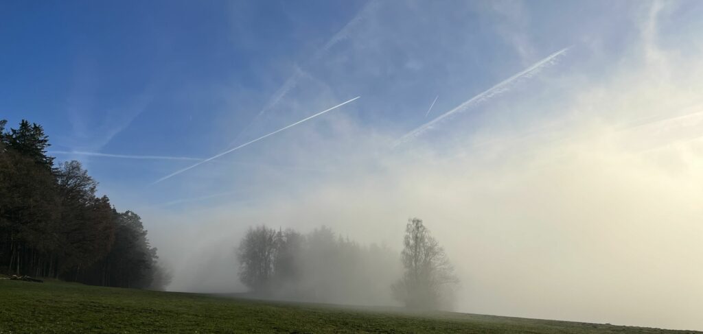 Newsletter zum Jahresanfang 2024 - Inner Nature