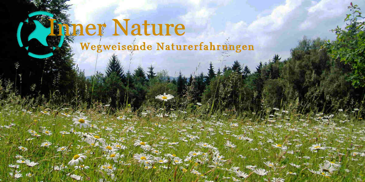 Willkommen bei Inner Nature - Inner Nature